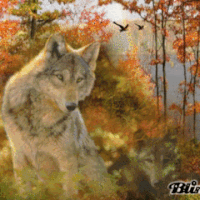 Autumn GIF on GIFER - by Moonbringer