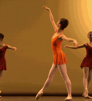 Ballet GIF on GIFER - by Malonius
