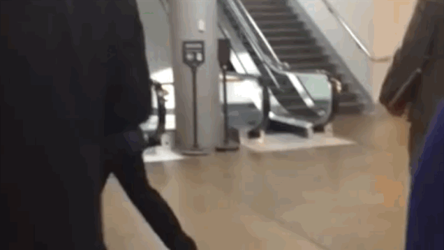 Bernie sanders GIF en GIFER - de Mot