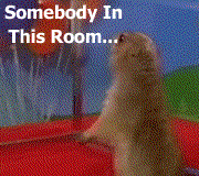 GIF dramatic - animated GIF on GIFER - by Agamarne