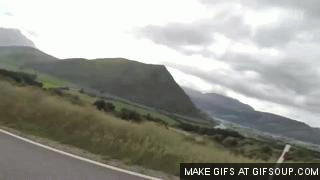 Tree crashes GIF on GIFER - by Landalas