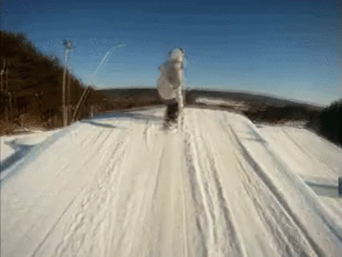 GIF first flip snowboard - animated GIF on GIFER - by Gagrel