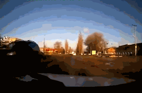 GIF cow level pro - animated GIF on GIFER - by Spellseeker
