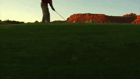 GIF giraffes - animated GIF on GIFER - by Cehelm