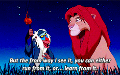 Life lesson simba movie GIF on GIFER - by Akilabar