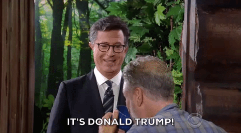 Spit take politics stephen colbert GIF on GIFER - by Molar