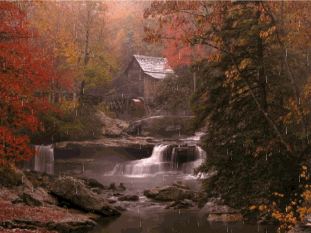 GIF autumn - animated GIF on GIFER - by Forceseeker