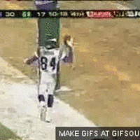 GIF randy moss - animated GIF on GIFER - by Mikasar