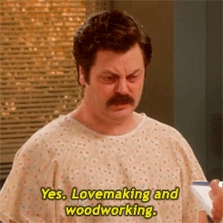 Ron swanson GIF on GIFER - by Dirr