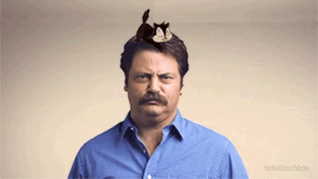 GIF ron swanson - animated GIF on GIFER - by Tubei