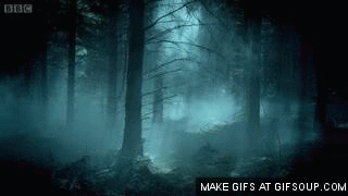 Forest GIF on GIFER - by Ghohelm