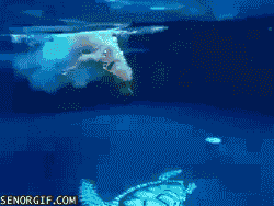 Animals dog dogs GIF on GIFER - by Sabereye