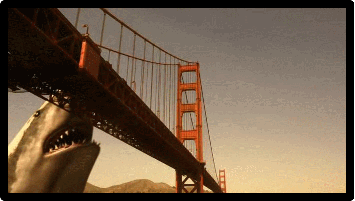 GIF shark tiburon requin - animated GIF on GIFER - by Kirihelm