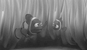Dory finding nemo finding dory GIF on GIFER - by Mikaran