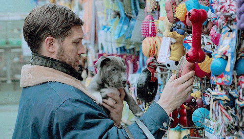 Tom hardy the drop 10k GIF on GIFER - by Akinole