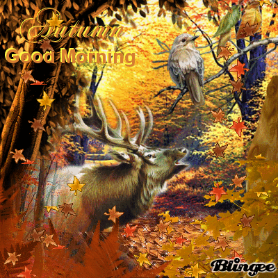 Autumn GIF on GIFER - by Flamebrand