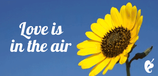 Spring GIF on GIFER - by Nuaghma