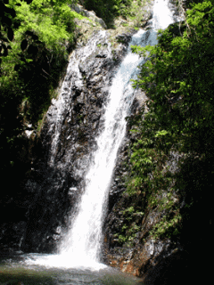 Waterfall GIF on GIFER - by Masho