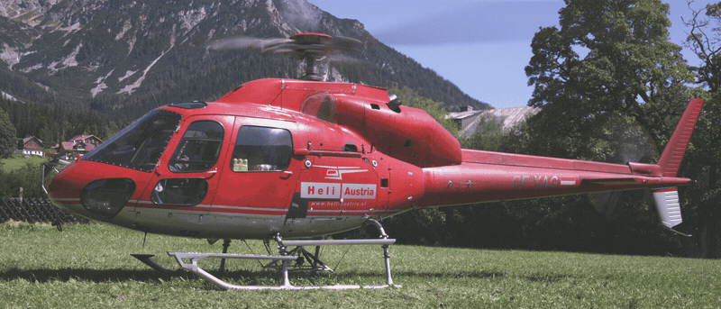 BB3 Marcellus : r/BigBrother