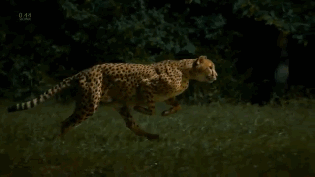 Slow motion GIF on GIFER - by Grojas