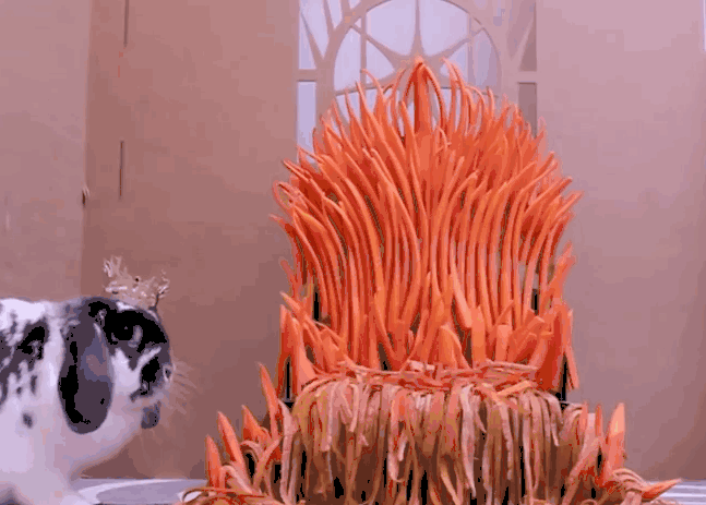 Rabbit GIF on GIFER - by Manaath