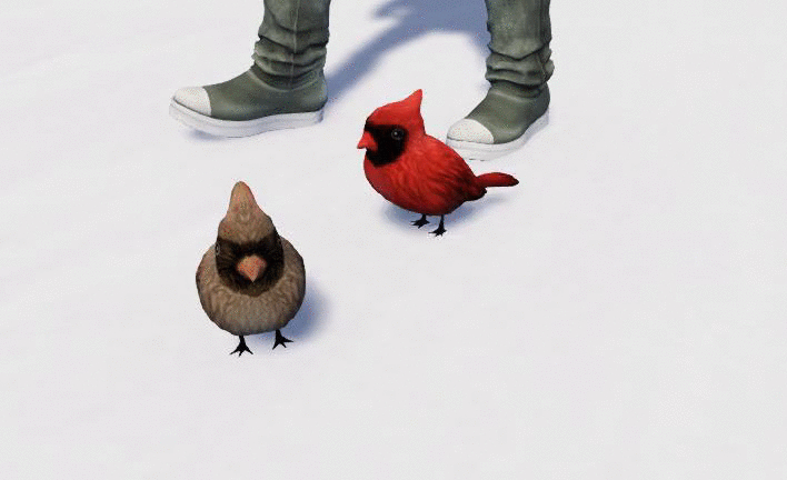 Tlc GIF on GIFER - by Yozshubei