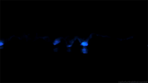 Bioluminescence biology science GIF on GIFER - by Perigamand