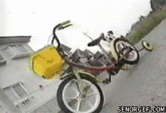 Training bicycle wheels GIF on GIFER - by Delazar