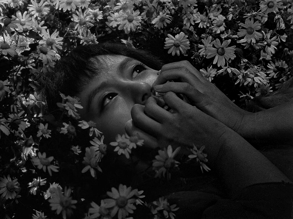 Gif De Tonto Con Cabeza De Algodón