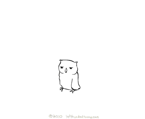 Owl GIF on GIFER - by Mezirg