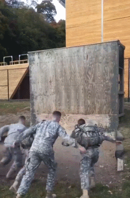 4k Black Wolf Blinking Blue Eyes Gif on Sale | dntu.edu.vn