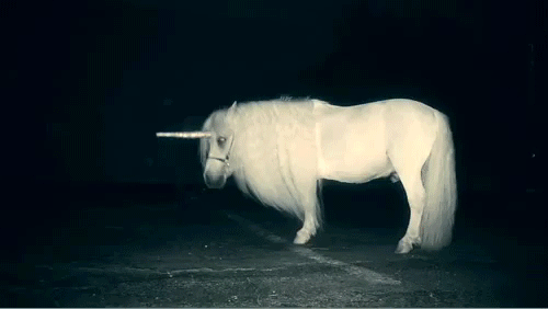 Not grunge animales hipster GIF en GIFER - de Godal