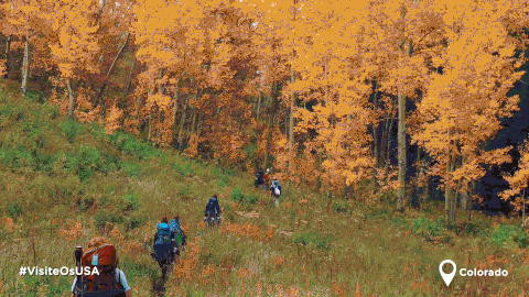 Usa fall autumn GIF on GIFER - by Manafyn