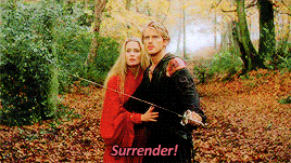 GIF the princess bride cary elwes robin wright - animated GIF on GIFER ...