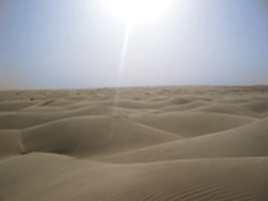 Desert GIF on GIFER - by Duzilkree