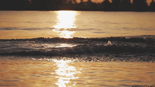 Water sports agua hipster GIF en GIFER - de Vuzahn