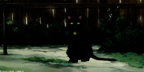 Manga animal wind GIF on GIFER - by Bogelv