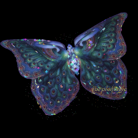 Butterfly GIF on GIFER - by Sabercaster
