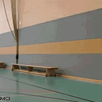 Egg roll GIF on GIFER - by Cerad