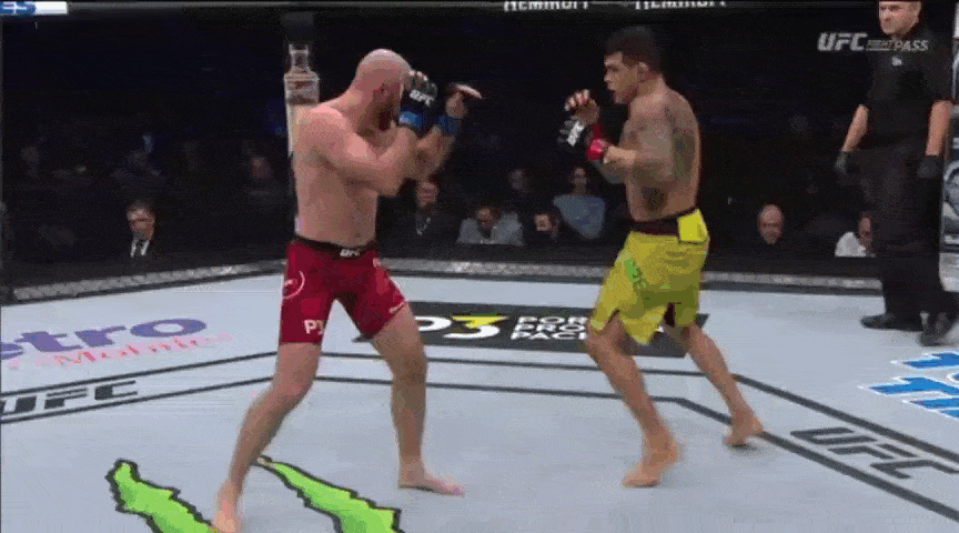 GIFS: UFC 231 finishes | Sherdog Forums | UFC, MMA & Boxing Discussion