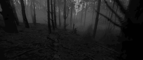 Forest evil dead GIF on GIFER - by Mordin