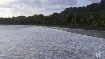 Waterfall television nature GIF on GIFER - by Fenrilkree