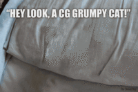 GIF grumpy cat - animated GIF on GIFER - by Akinotilar