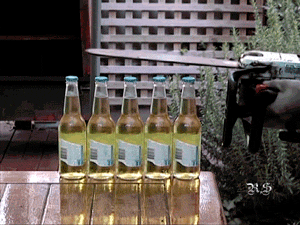 Beer anyone GIF on GIFER - by Buzazar
