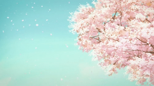 GIF sakura - animated GIF on GIFER - by Kathrige