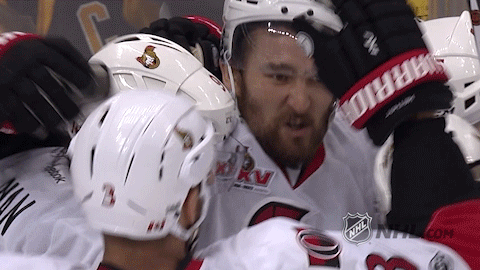 GIF sports hockey nhl - animated GIF on GIFER - by Bakasa