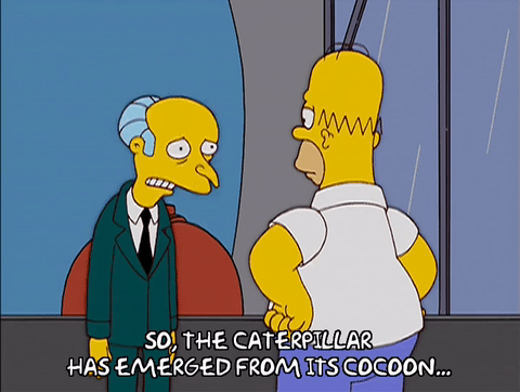 Homer simpson season 14 episode 10 GIF on GIFER - by Teran