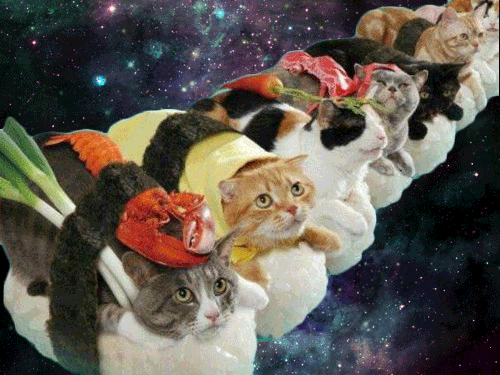 Comida En El Espacio Tumblr Gif Platillo Volador Alienígena, OVNI Que