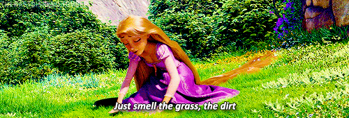 Disney tangled GIF on GIFER - by Drelazius