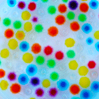 Timelapse GIF on GIFER - by Miragar